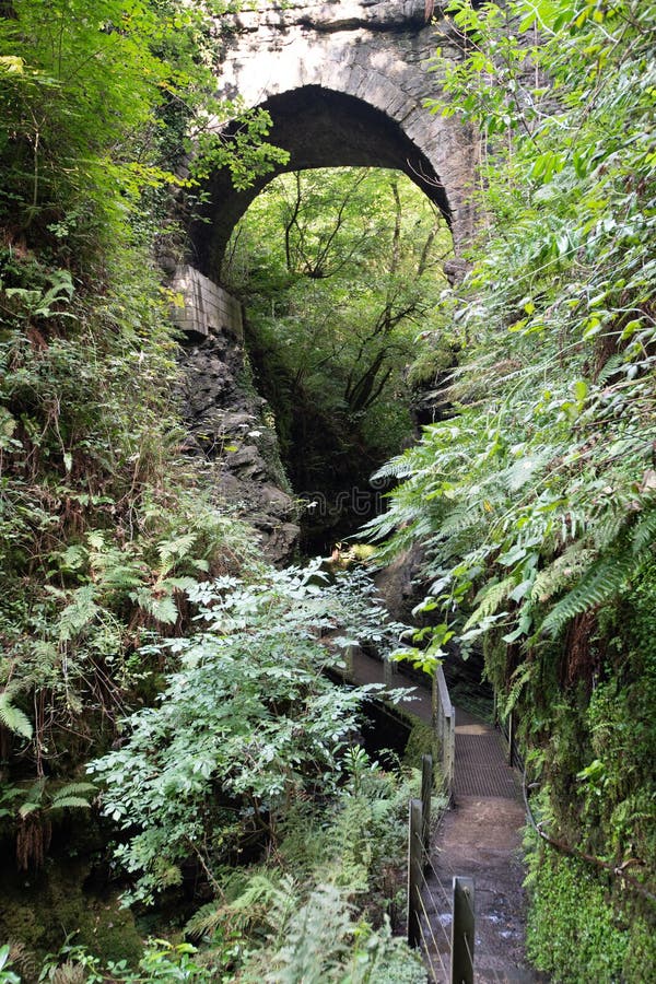 Lydford Gorge in Devon stock image. Image of dartmoor - 291796063