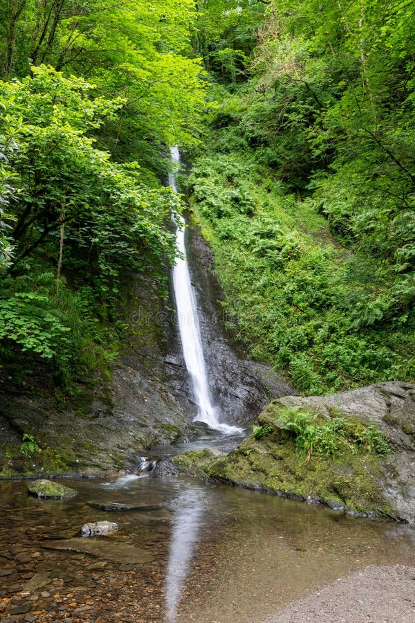 Lydford Gorge in Devon stock photo. Image of gorge, countryside - 253112516