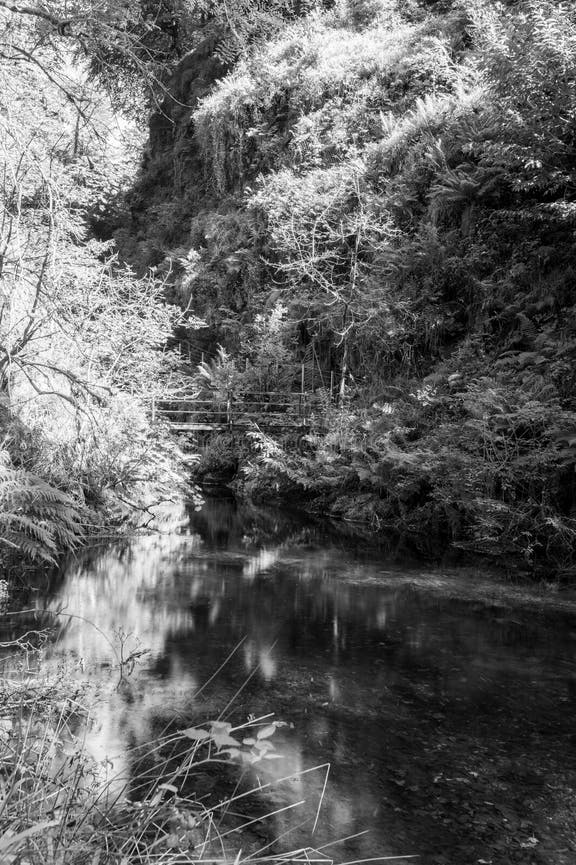 Lydford Gorge in Devon stock image. Image of landscape - 294215581