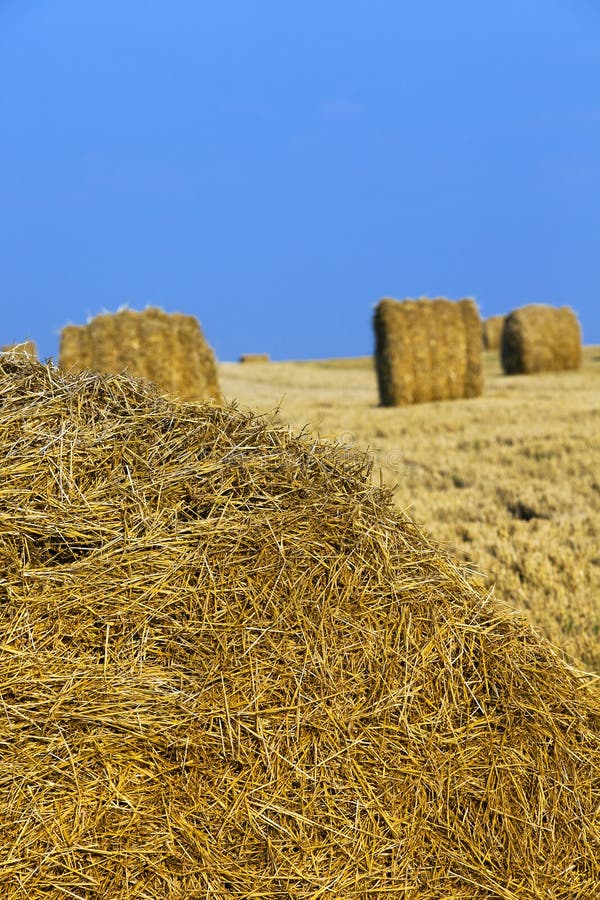 Straw stack stock photo. Image of bale, clear, gold, bales - 29976186