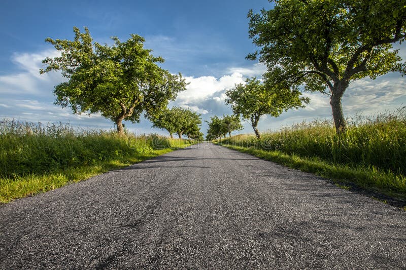 With lying apple trees stock image. Image of speed, asphalt - 114570975