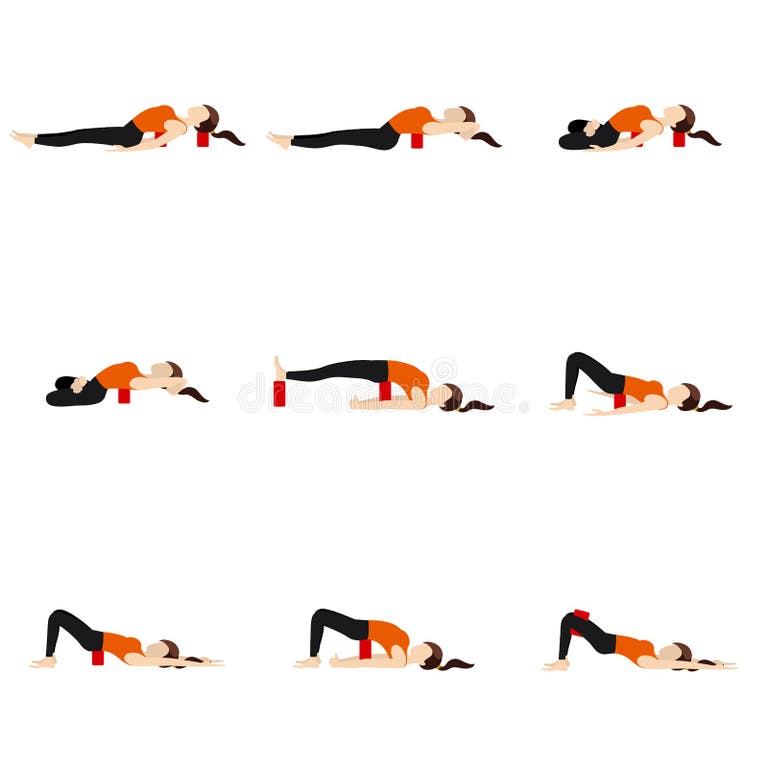 Supported Bridge Pose Stock Illustrations – 2 Supported Bridge Pose ...