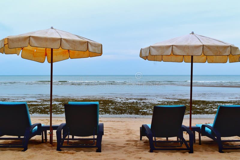 Sunbathe on a Sunbed on the Beach Stock Image - Image of outdoor, blue ...