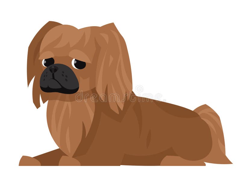 Cartoon Pekingese Stock Illustrations – 427 Cartoon Pekingese Stock ...