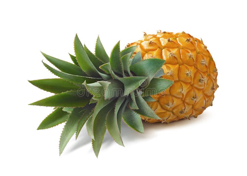Pineapple Set Isolated on White Background. Whole Fruit, Round and ...