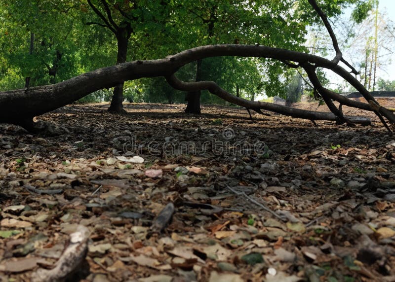 LYING TREE on GROUND ai stock illustration. Illustration of nature ...