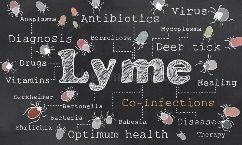 Lyme and Co-infections Illustration Stock Illustration - Illustration ...