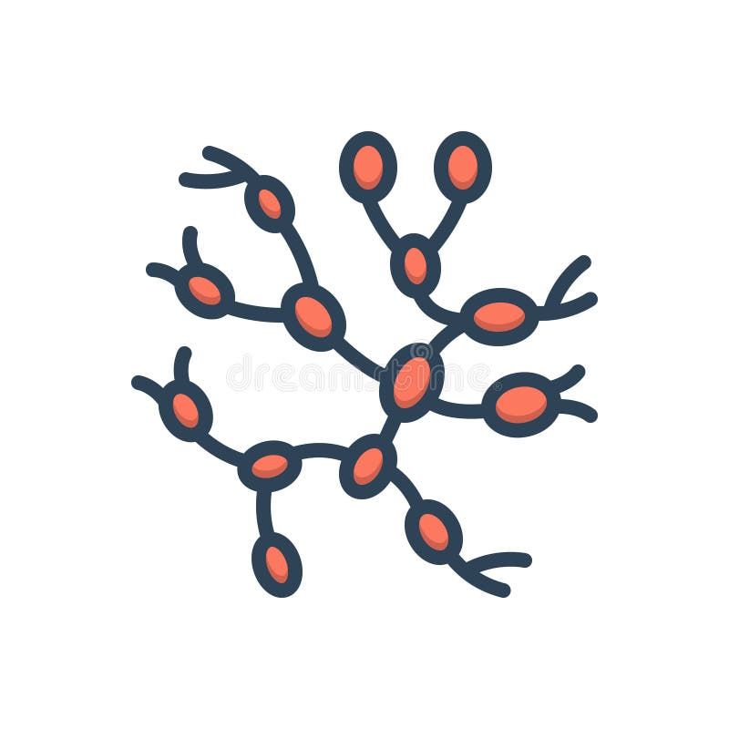 Color Illustration Icon for Lymph Nodes, Vessel and Immune Stock ...