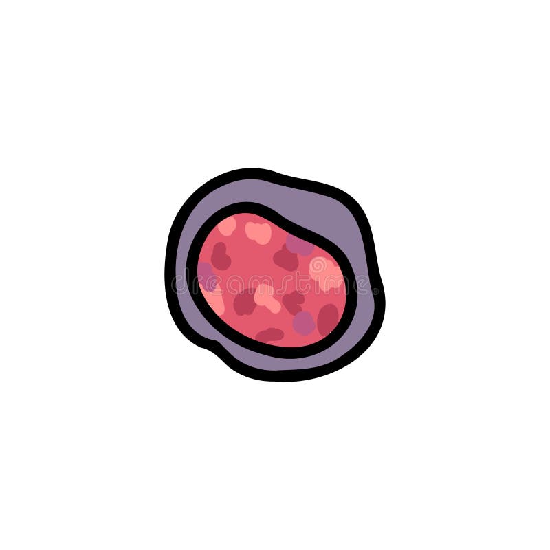 Lymphocyte Doodle Icon, Vector Color Line Illustration Stock Vector ...