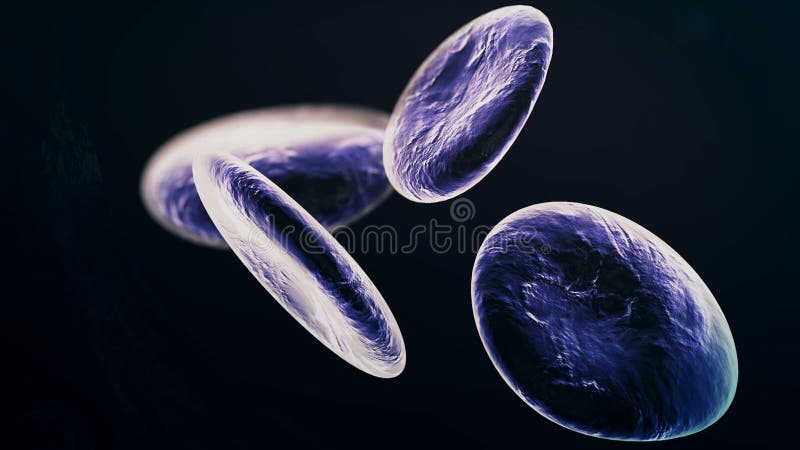 White Blood Cells stock footage. Video of type, serum - 72491714