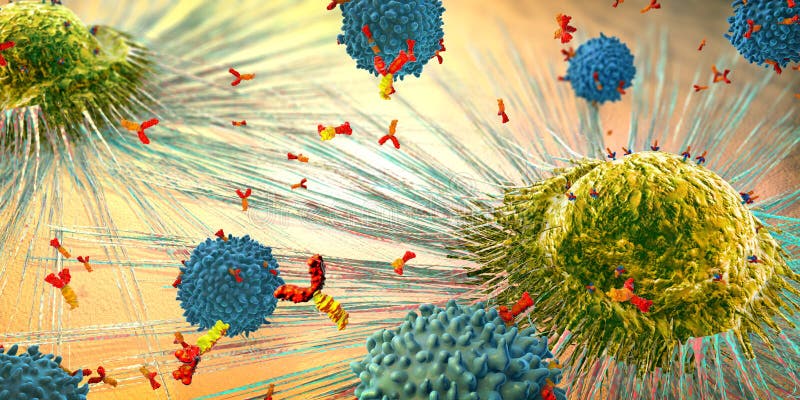 Lymphocytes Cell in the Immune System Reacting and Attacking a ...