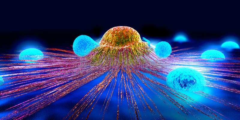 Lymphocytes Cell in the Immune System Reacting and Attacking a ...