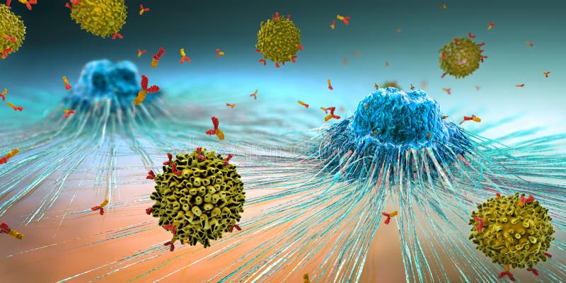Lymphocytes Cell in the Immune System Reacting and Attacking a ...
