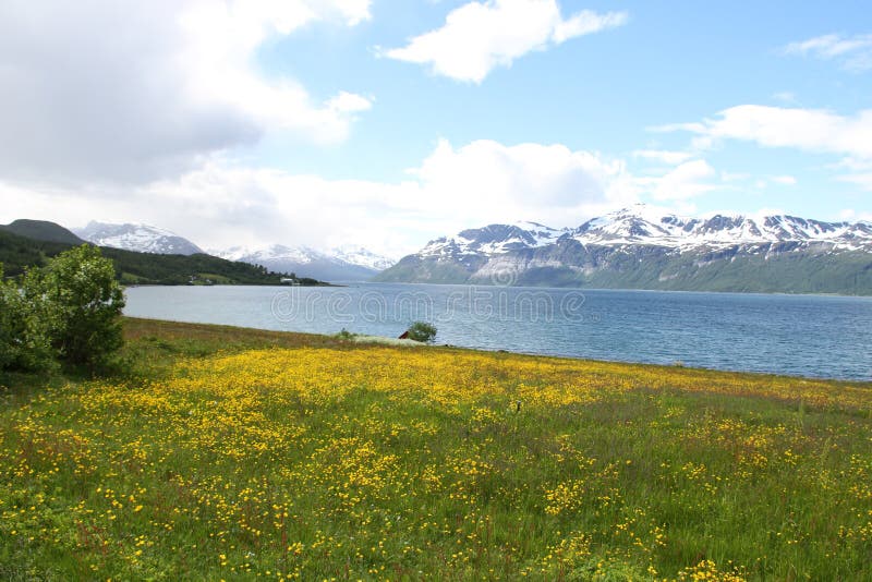 Lyngen Alps, Norway stock image. Image of bank, fjords - 96072765