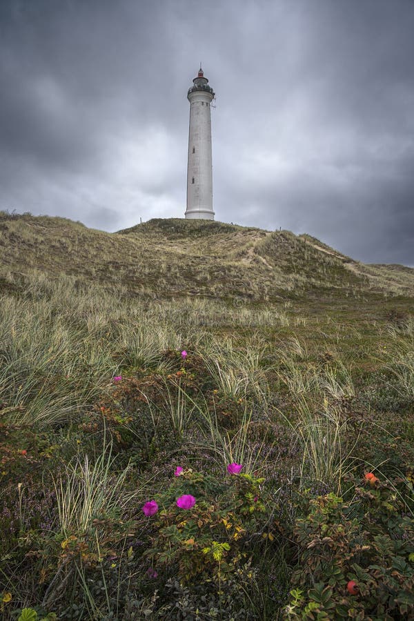 Lyngvig Lighthouse in Jutland, Denmark Stock Photo - Image of coastline ...