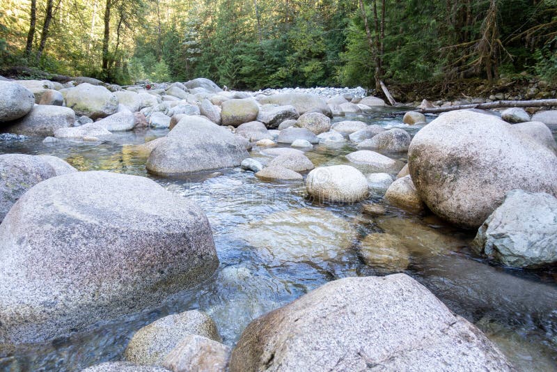 Lynn Valley 30 Feet Long River Stock Photo - Image of tranquil, water ...
