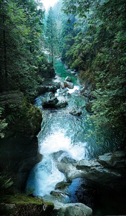 Lynn Valley stock photo. Image of mist, canada, columbia - 99511956