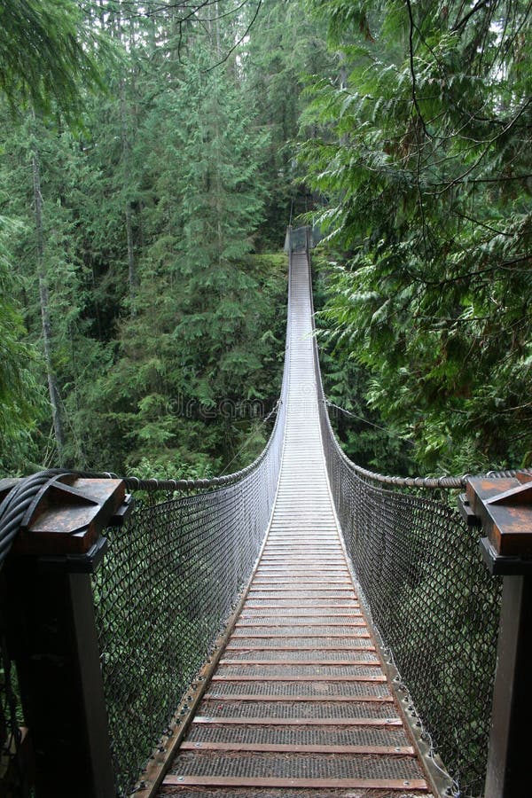 Lynn Valley Suspension Bridge Stock Image - Image of lynn, hights: 6964769