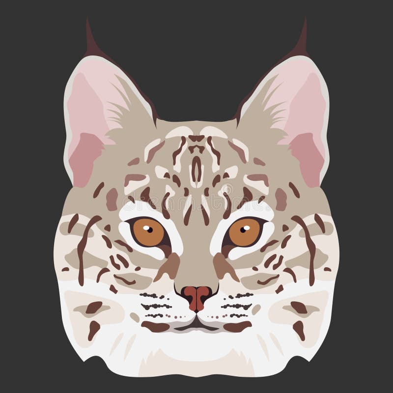 Lynx Face Head Vector Illustration Clipart Wild Zoo Stock Vector ...
