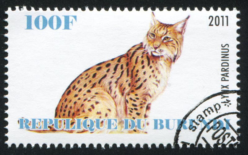 Lynx stock image. Image of mammal, lynx, message, brush - 362452371