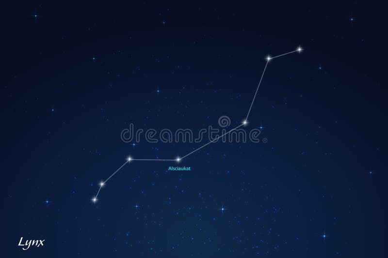 Lynx Constellation with Star Names in Night Sky Stock Illustration ...