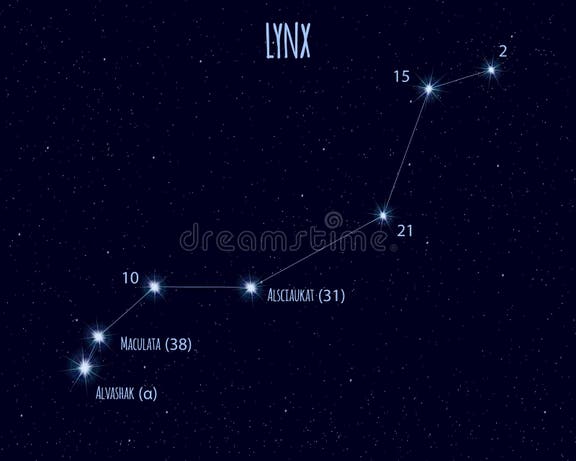 Lynx Constellation, Vector Illustration with the Names of Basic Stars ...