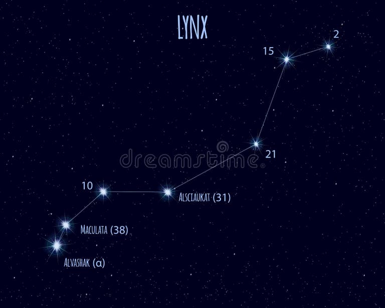 Lynx Constellation, Vector Illustration with the Names of Basic Stars ...