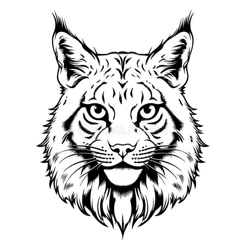 Lynx Head Hand Drawn Sketch Vector Illustration Stock Vector ...