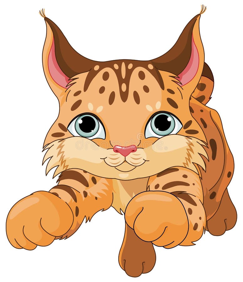 Baby Wildcat Clip Art