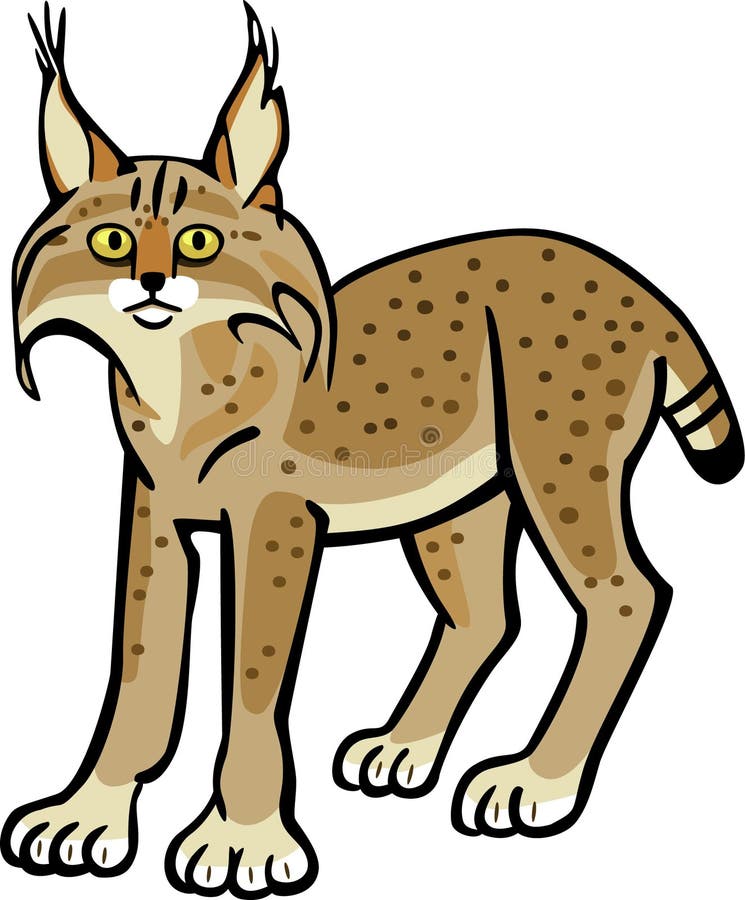 Lynx Canadensis Background - Illustration Stock Vector - Illustration ...