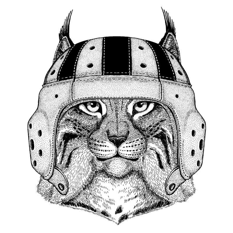 Lynx. Portrait Du Casque De Port Animal De Rugby Illustration de ... Lynx. Portrait Du Casque De Port Animal De Rugby Illustration de ...