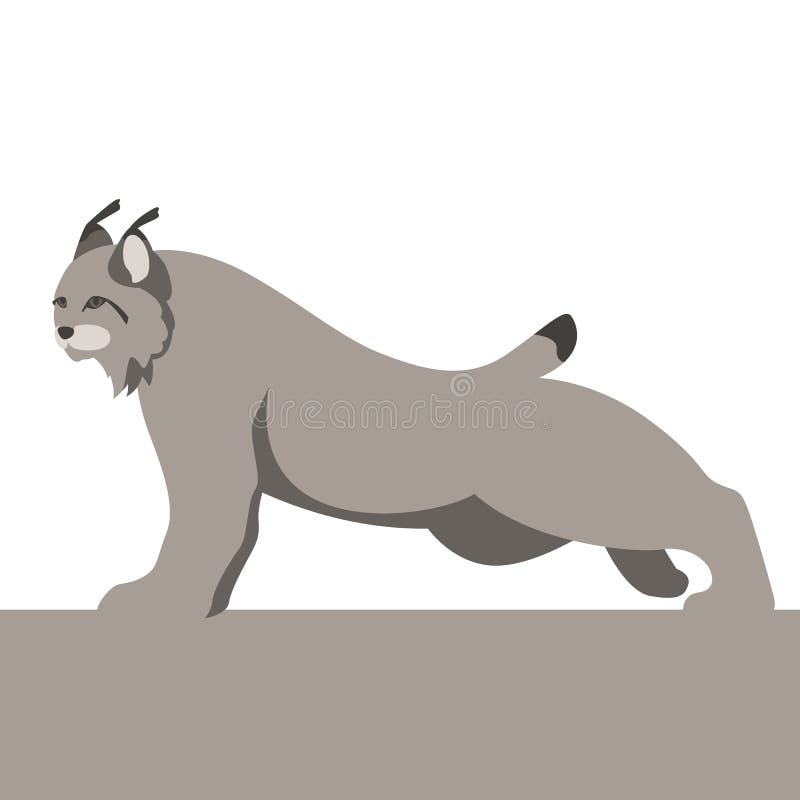 Lynx Vector Illustration Style Flat Silhouette Stock Vector ... Lynx Vector Illustration Style Flat Silhouette Stock Vector ...