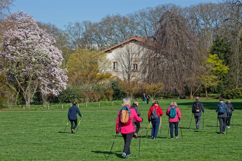 Women Practice Nordic Walking in the Park Editorial Stock Photo - Image ... Women Practice Nordic Walking in the Park Editorial Stock Photo - Image ...
