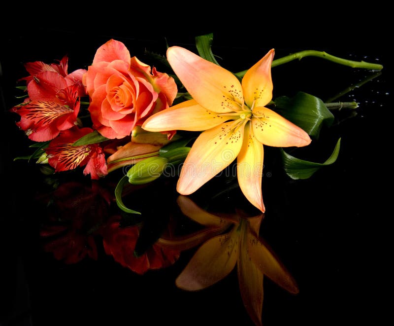 Lys Rojos Buch, Ramo Del Colorete Del Fleur De La Flor Imagen de ...