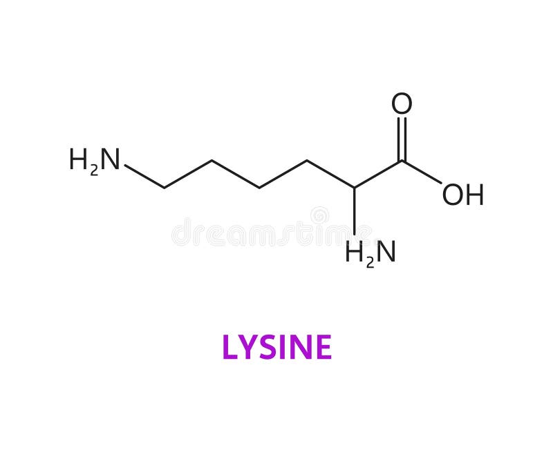 Lysine Amino Acid Chemical Molecule Structure Stock Vector ...