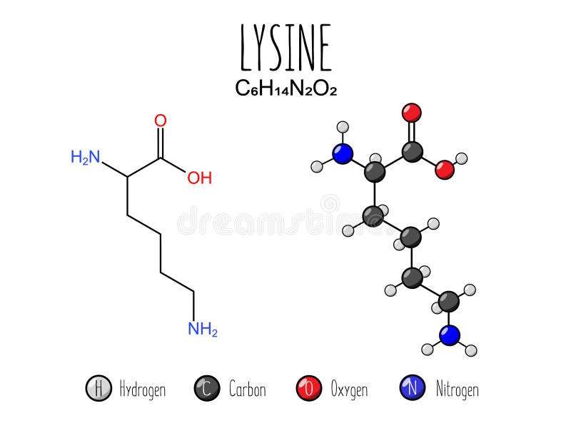Lysine Amino Acid Structure