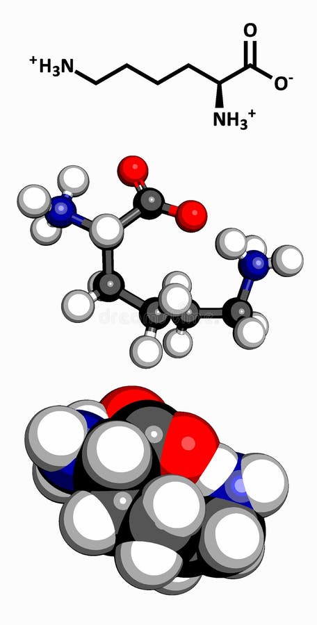 Lysine L- Lysine , Lys, K Amino Acid Molecule. it is Used in the ...