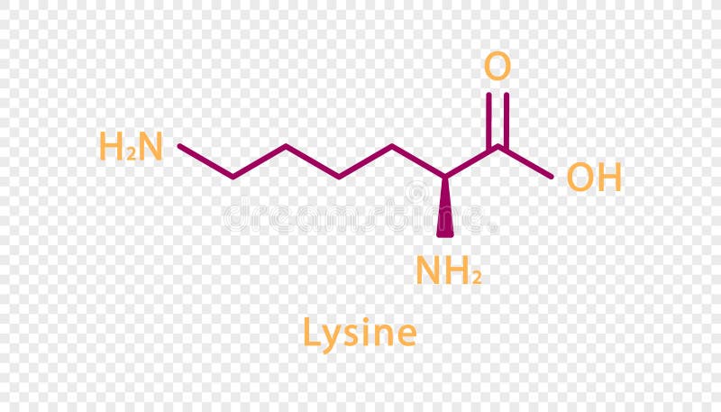 Lysine Chemical Formula. Lysine Structural Chemical Formula Isolated on ...