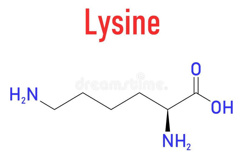 Lysine or L-lysine, Lys, K Amino Acid Molecule. Skeletal Formula Stock ...