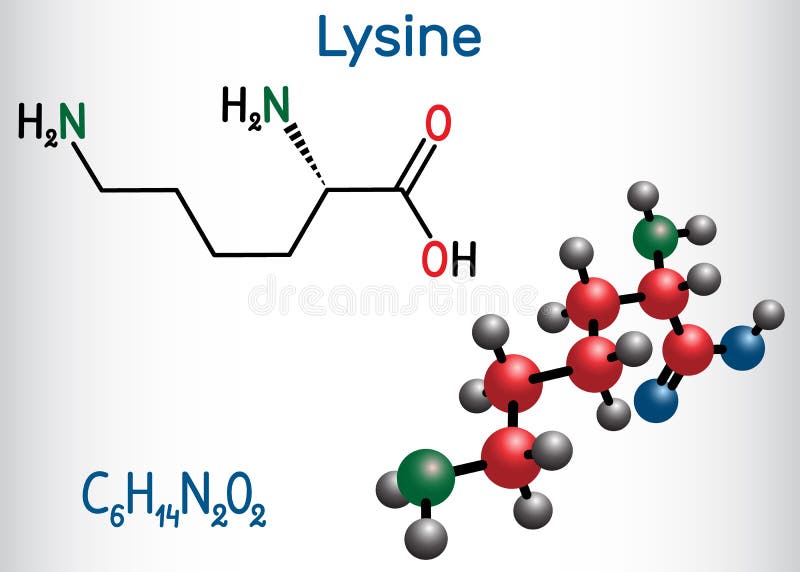 Lysine L- Lysine , Lys, K Amino Acid Molecule. it is Used in the ...