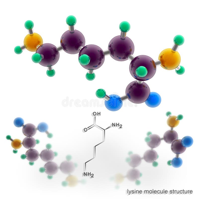 Lysine Stock Illustrations – 229 Lysine Stock Illustrations, Vectors ...