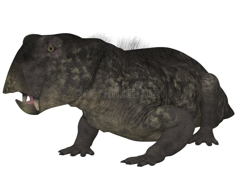 Lystrosaurus stock illustration. Illustration of lystrosaurus - 81836427