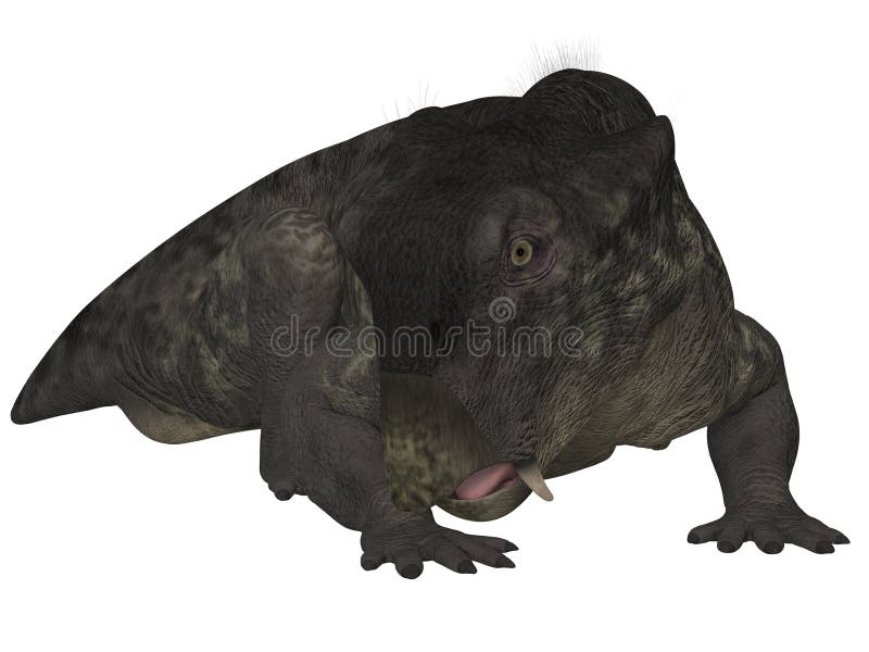 Lystrosaurus stock illustration. Illustration of lystrosaurus - 81836427
