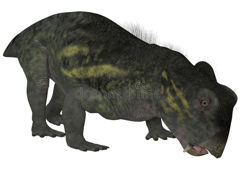 Lystrosaurus stock illustration. Illustration of lystrosaurus - 81836427