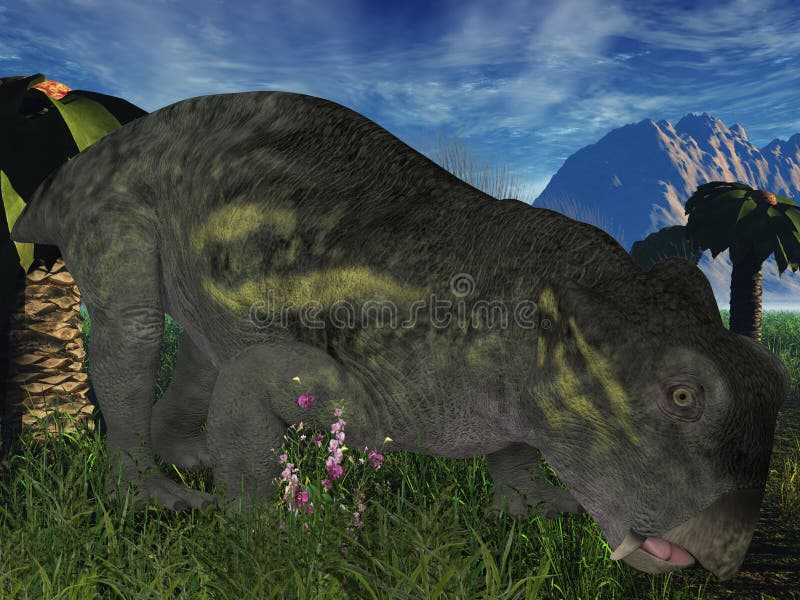 Lystrosaurus stock illustration. Illustration of lystrosaurus - 81836427