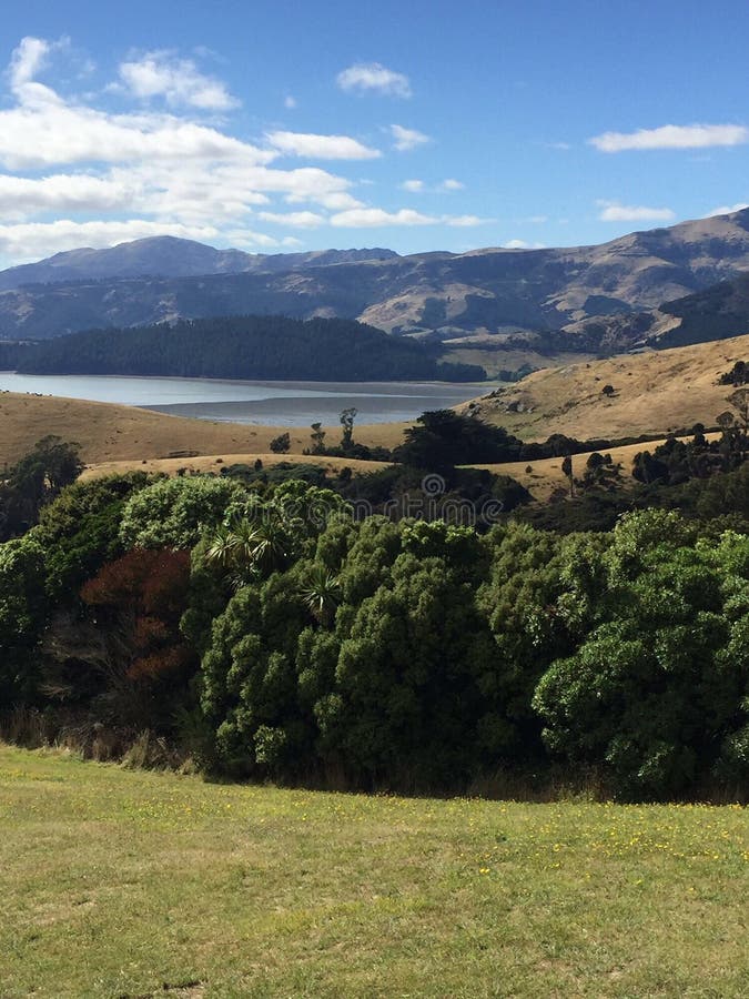 Lyttleton Harbour, Canterbury NZ Stock Photo - Image of harbour, grass ...