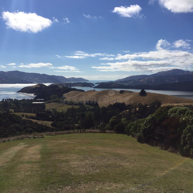 Lyttleton Harbour, Canterbury NZ Stock Photo - Image of harbour, grass ...