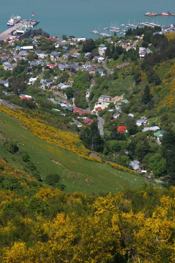 Lyttleton village stock photo. Image of ocean, lyttleton - 8825346