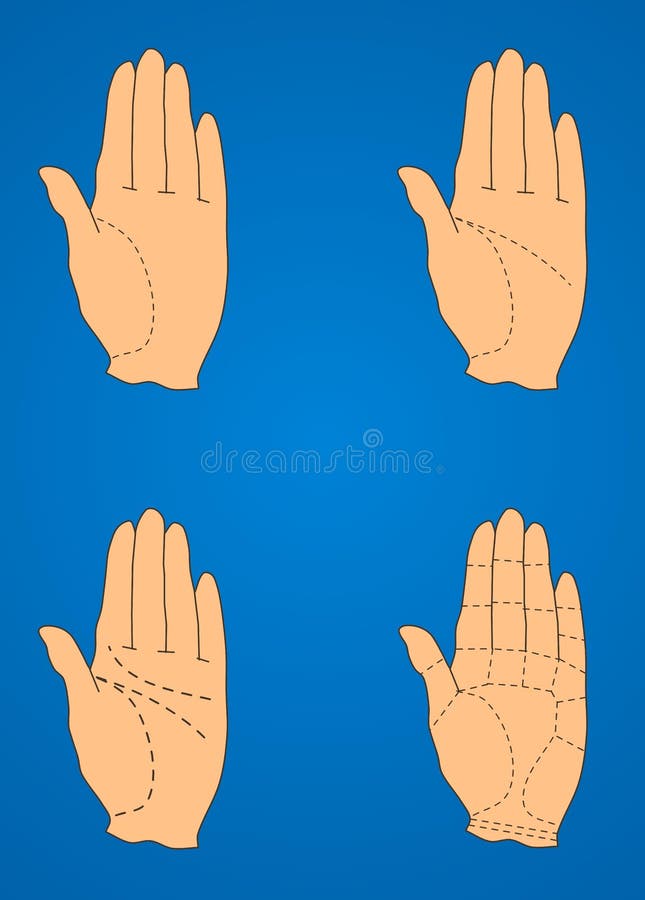 Nomes Dos Dedos Da Mão Humana Da Palma, Ilustração Da Ilustração Do ...