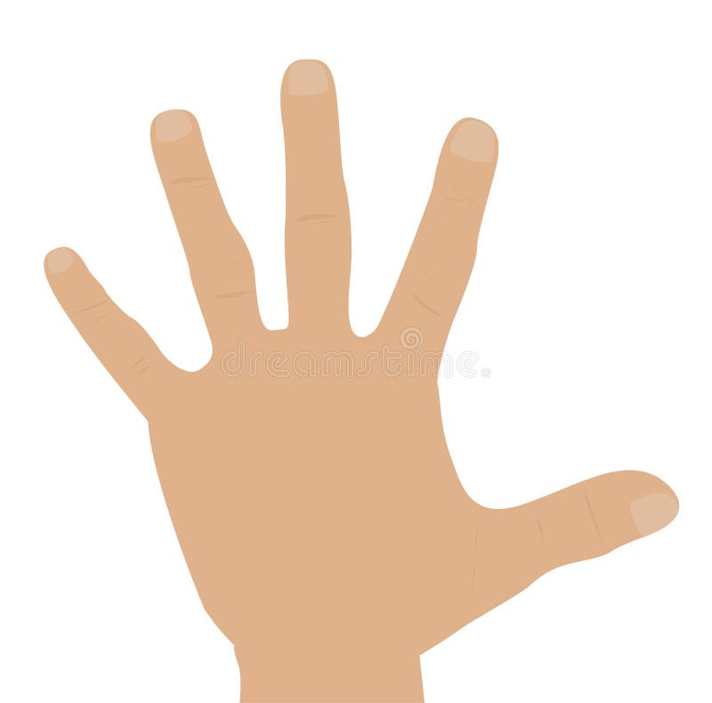 Desenho De Mão Humana, Vista Palmar E Dorsal Da Mão Direita E Esquerda ...